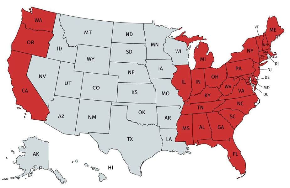 Dysdera Crocata - Woodlouse Spider - USA Spiders