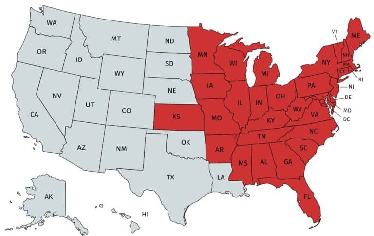 Trachelas Tranquillus - Broad-Faced Sac Spider - USA Spiders