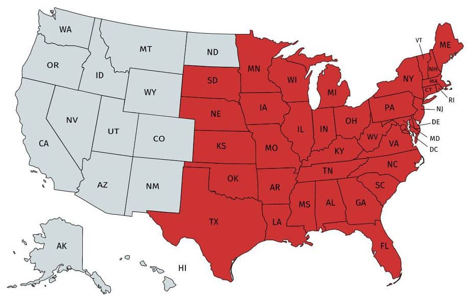 Araneus Bicentenarius - Giant Lichen Orb Weaver - USA Spiders